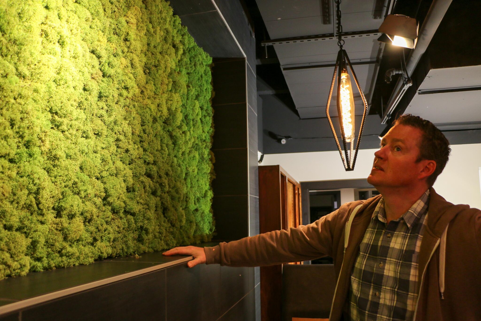 Why Moss Walls are Ideal for Public Spaces: What We Learned Talking to ...