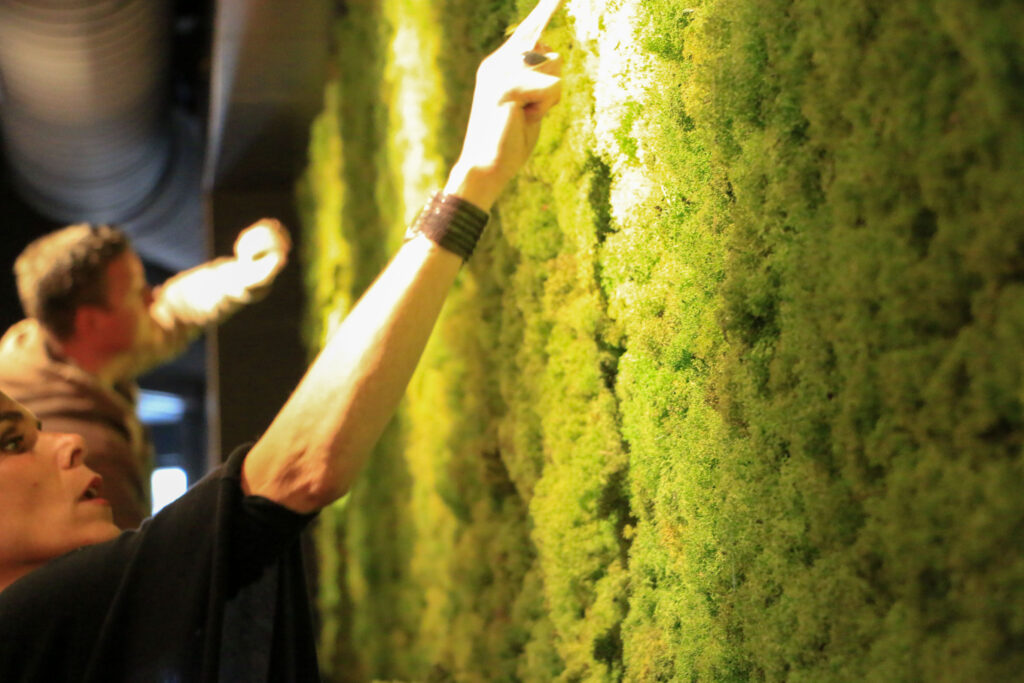 Moss for the Win in Sustainable Workplace Design - Fat Plant Society