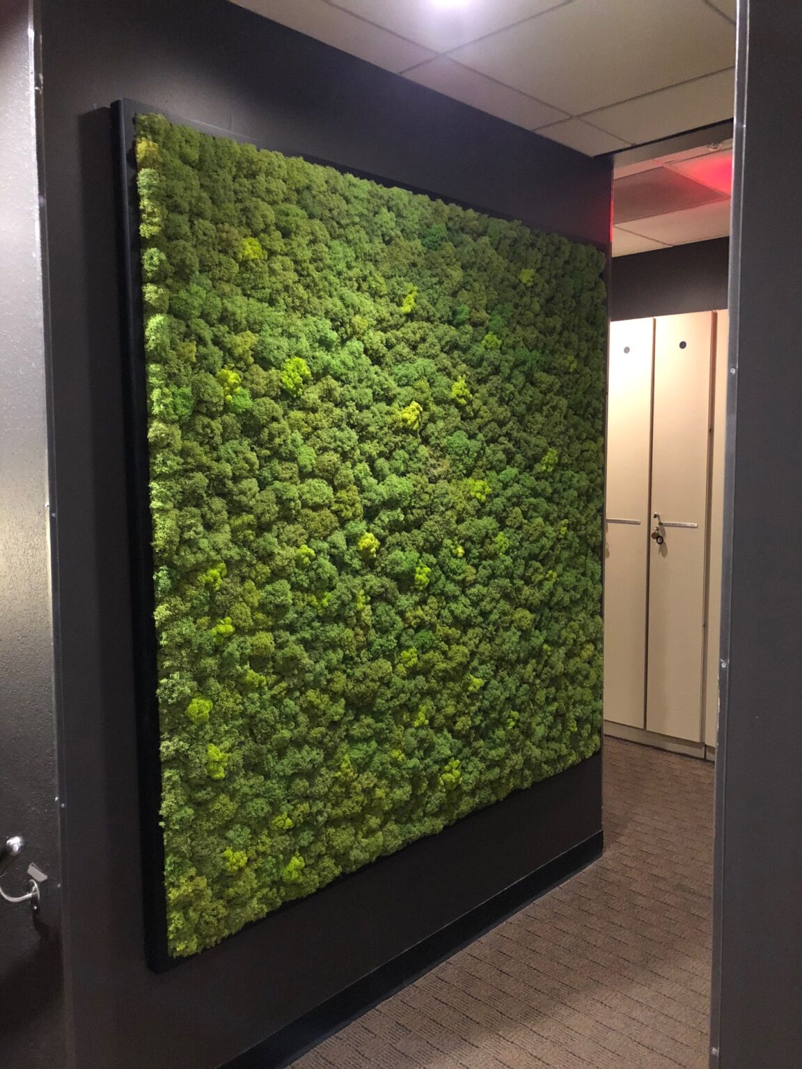 Green Walls in Schools: Beyond Health Benefits and Into Curriculum ...