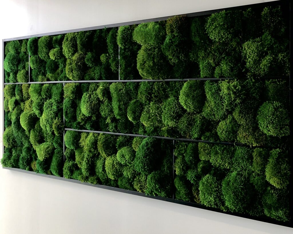 Moss Walls versus Living Walls: Which is the Best Choice for Your Needs ...